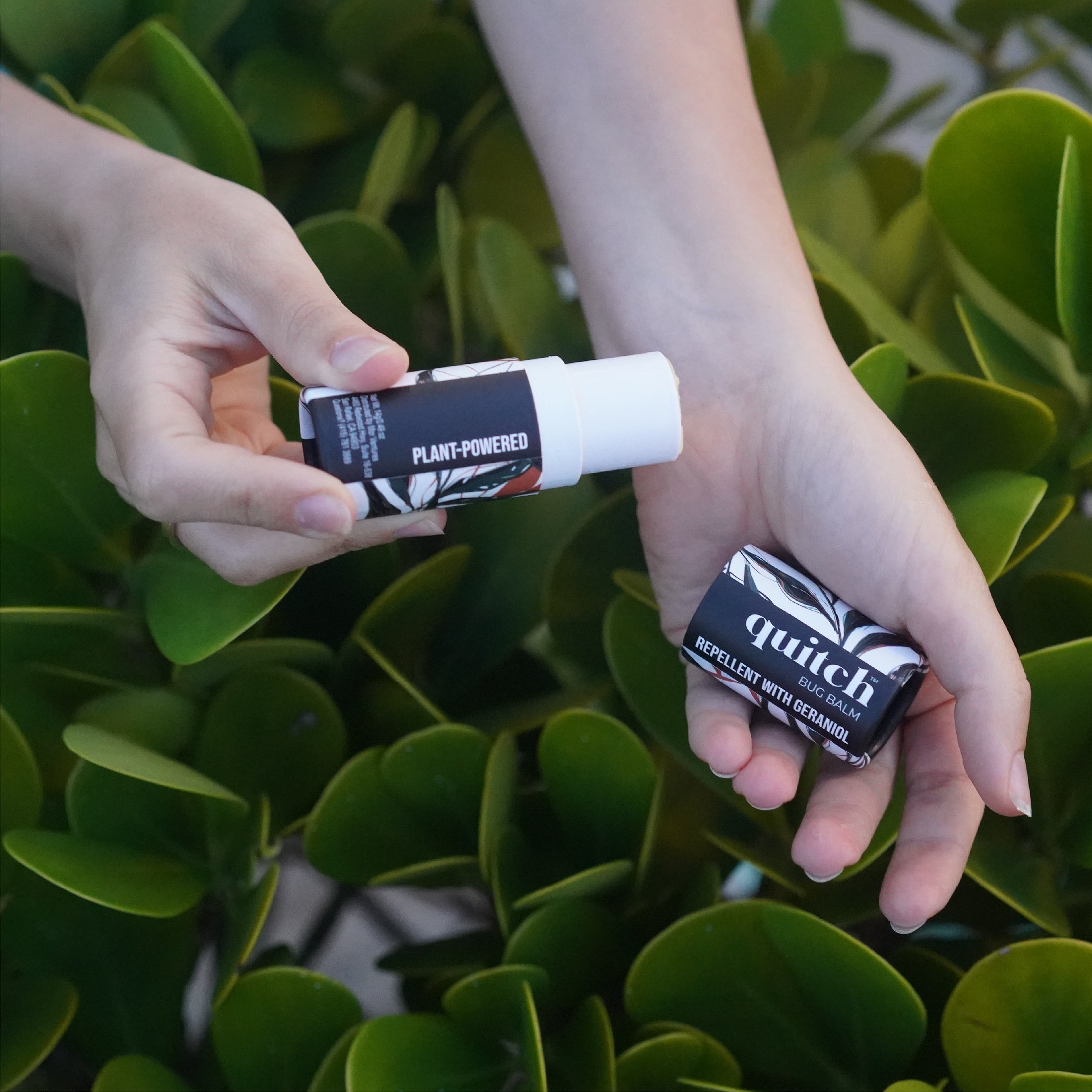 Basic Bundle – Quitch